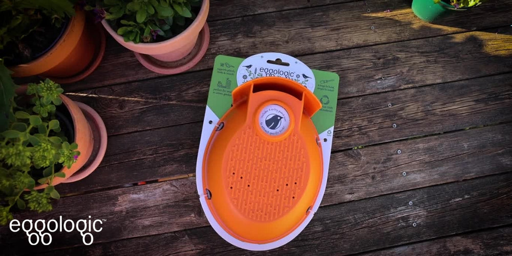 The Best Bird Nester for Vertical Gardens | Eggologic