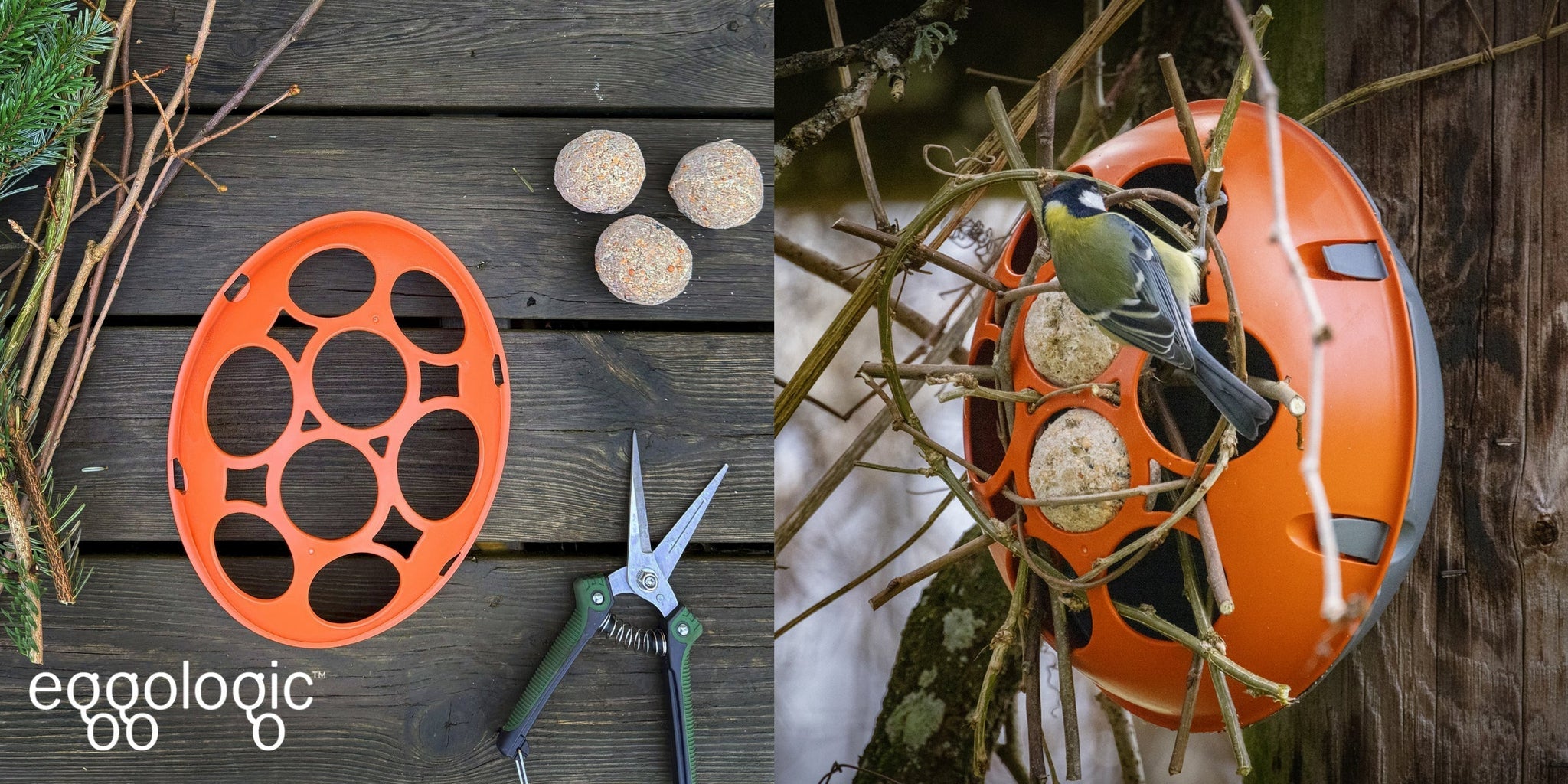 How to Make a DIY Bird Feeder Out of the Eggo Trellis Pod | Eggologic