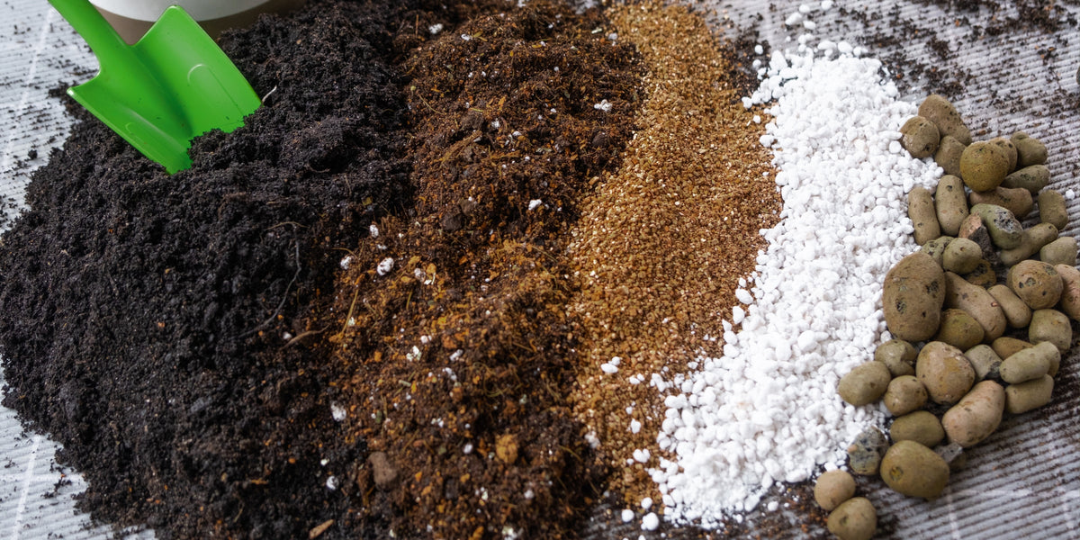 Everything You Need to Know about Healthy Soil | Eggologic